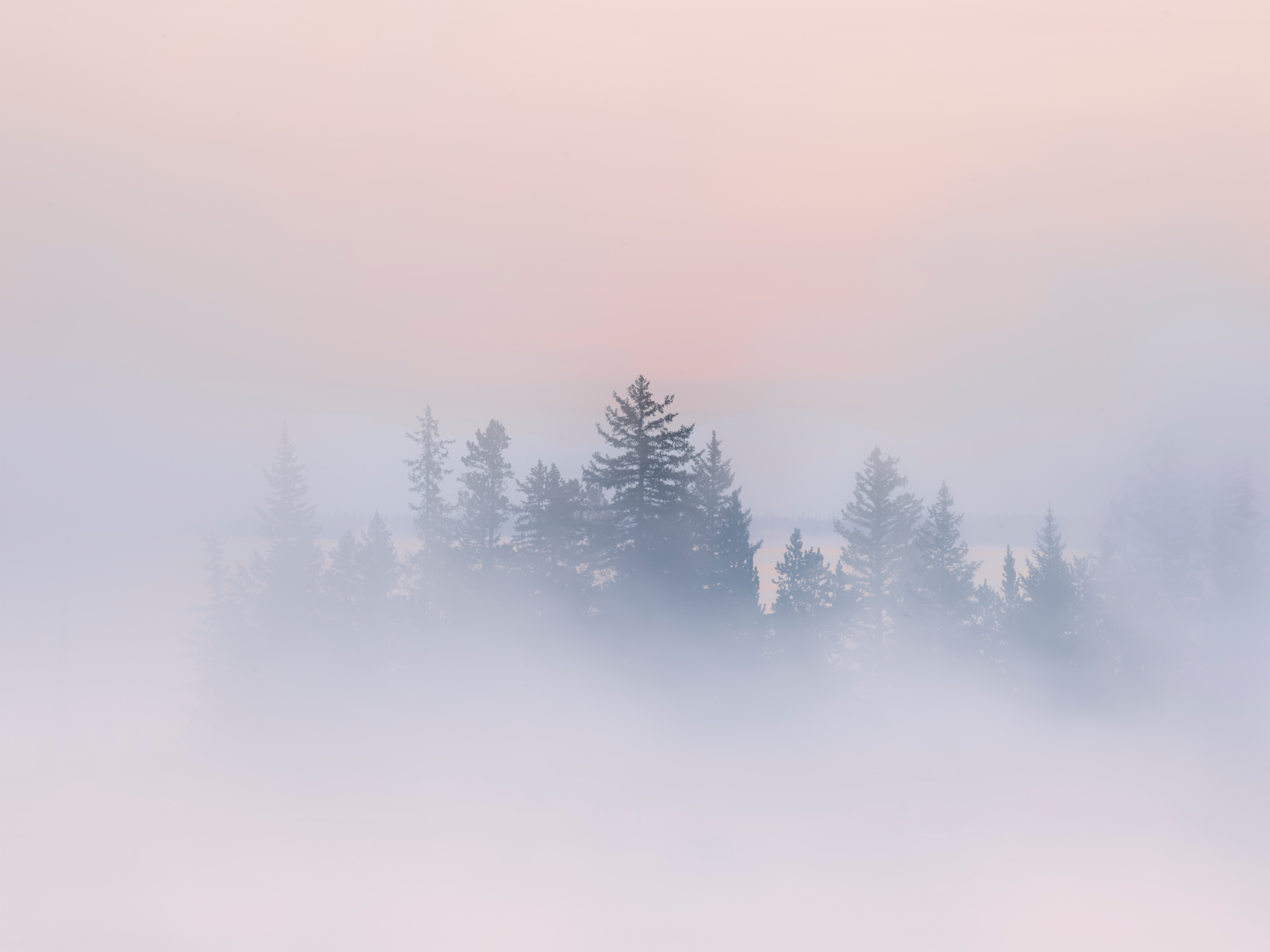 SB-Web-Optimized-118-Fading in the Fog - DT Photo