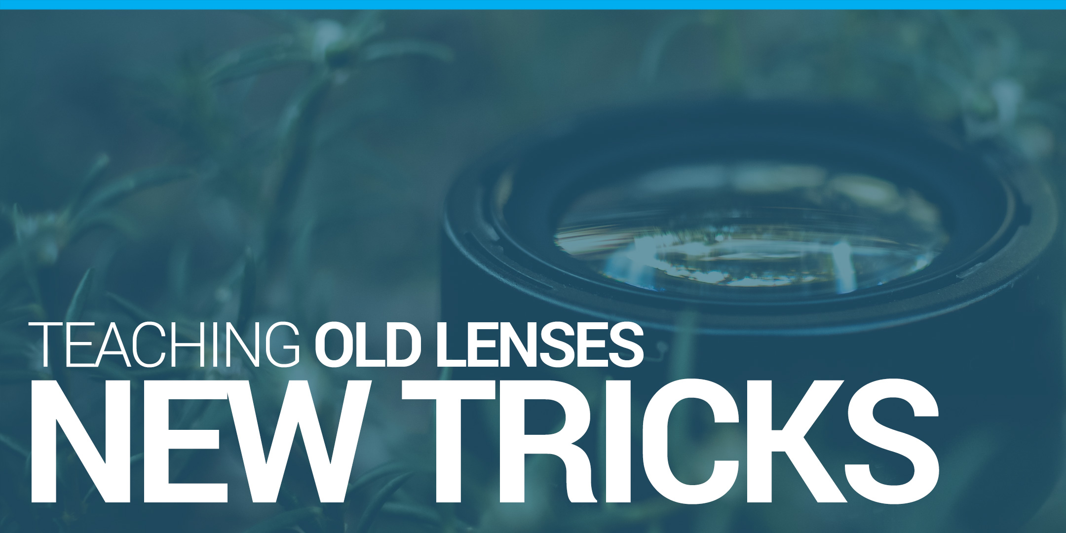 Teaching Old Lenses New Tricks - DT Photo