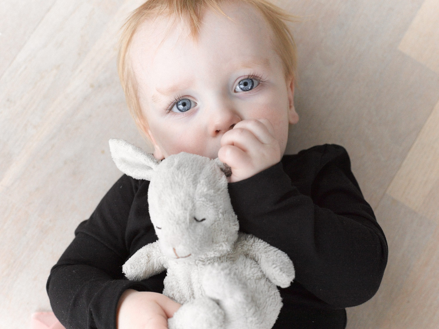 Leaf Look for IQ1 100mp + IQ3 100mp - DT Photo